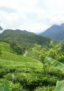 Murlen National Park - Champhai | Murlen National Park Photos ...