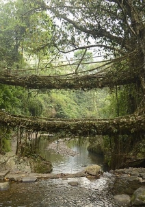 Mawsynram - East Khasi Hills | Mawsynram Photos, Sightseeing -NativePlanet