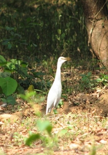 Places to Visit in Khodala: Tourist Places in Khodala, Khodala Tourism ...