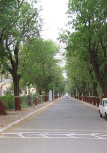 Places to Visit in Pilani: Tourist Places in Pilani, Pilani Tourism ...