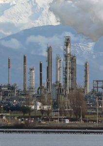 Assam Travel Guide : Tourist Places to visit, Attractions. Best Time to ...