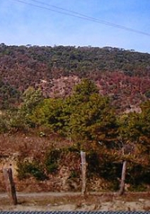 Makhel - Senapati | Makhel Photos, Sightseeing -NativePlanet