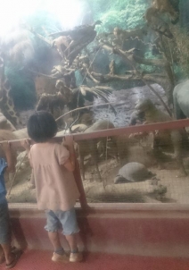 Khuga Dam - Churachandpur | Khuga Dam Photos, Sightseeing -NativePlanet