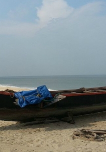 Places to Visit in Mararikulam: Tourist Places in Mararikulam ...