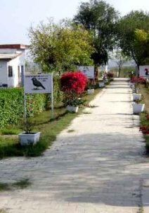 Places to Visit in Raebareli: Tourist Places in Raebareli, Raebareli ...