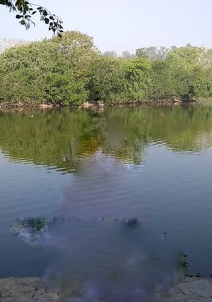 Bhindawas Lake - Rohtak | Bhindawas Lake Photos, Sightseeing -NativePlanet