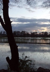 Places to Visit in Pinangwan: Tourist Places in Pinangwan, Pinangwan ...