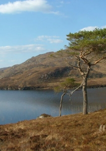 Places to Visit in Pinangwan: Tourist Places in Pinangwan, Pinangwan ...