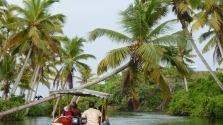 Poovar Tourism, Travel Guide & Tourist Places in Poovar-NativePlanet