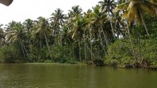 Poovar Tourism, Travel Guide & Tourist Places in Poovar-NativePlanet