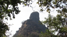 Karnala Tourism, Travel Guide & Tourist Places in Karnala-NativePlanet