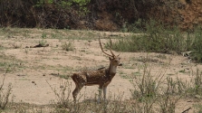 Dhamtari Tourism, Travel Guide & Tourist Places in Dhamtari-NativePlanet
