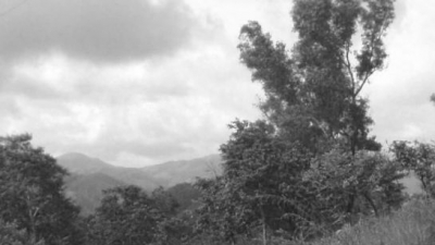 Idukki Tourism, Travel Guide & Tourist Places in Idukki-NativePlanet