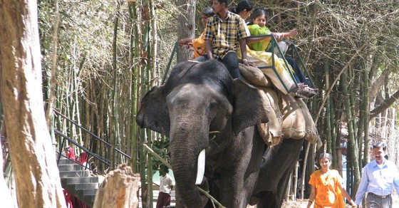 Coorg Photos, Pictures of Famous Tourist Places and Attractions ...