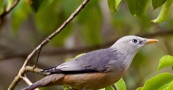 Karwar Photos, Pictures of Famous Tourist Places and Attractions ...