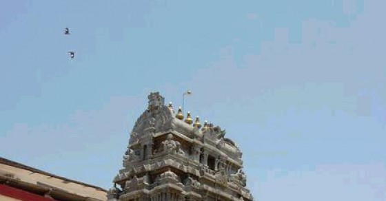 Sringeri Photos, Pictures of Famous Tourist Places and Attractions ...