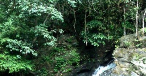 Agumbe Photos, Pictures of Famous Tourist Places and Attractions ...