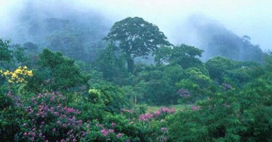 Siddapur Photos, Pictures of Famous Tourist Places and Attractions ...