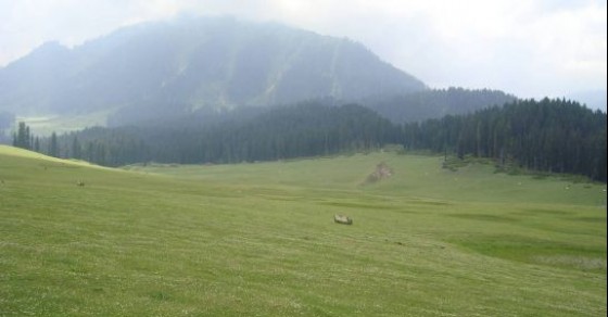 Budgam Photos, Pictures of Famous Tourist Places and Attractions ...