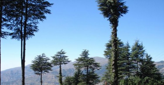 Patnitop Photos, Pictures of Famous Tourist Places and Attractions ...