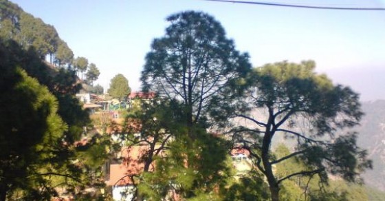 Kasauli Photos, Pictures of Famous Tourist Places and Attractions ...