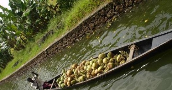 Alleppey Photos, Pictures of Famous Tourist Places and Attractions ...
