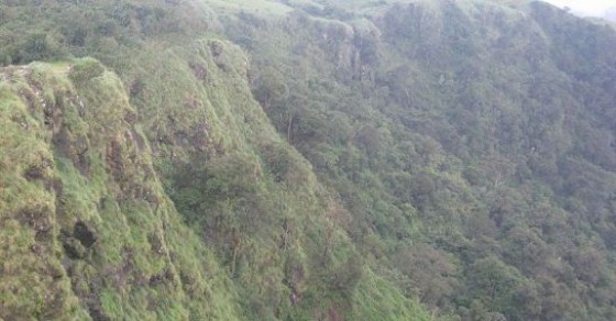 Vagamon Photos, Pictures of Famous Tourist Places and Attractions ...