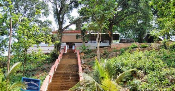 Kalady Photos, Pictures of Famous Tourist Places and Attractions ...