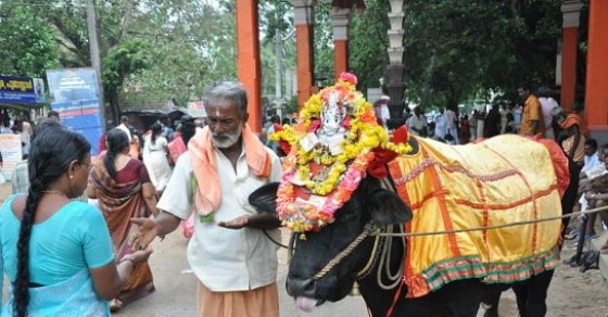 Oachira Photos-NativePlanet