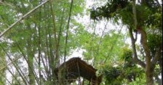 Coorg Photos, Pictures of Famous Tourist Places and Attractions ...