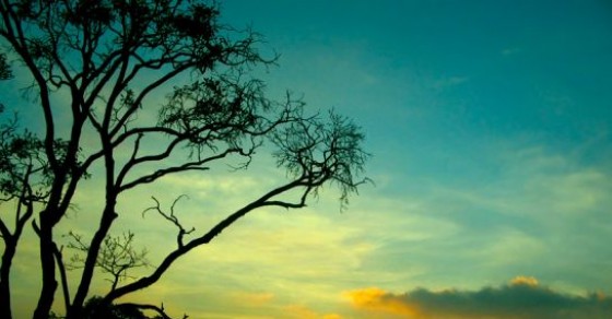 Yercaud Photos, Pictures of Famous Tourist Places and Attractions ...