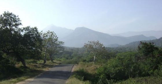 Annamalai Hills Photos-NativePlanet