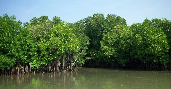 Cuddalore Photos, Pictures of Famous Tourist Places and Attractions ...