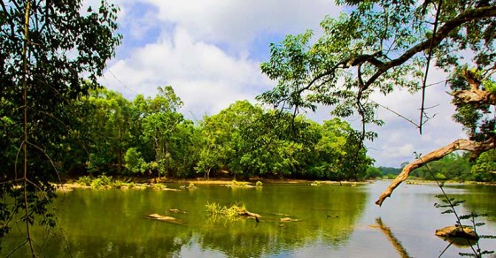 Coorg Photos, Pictures of Famous Tourist Places and Attractions ...