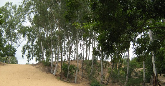 Talakadu Photos, Pictures of Famous Tourist Places and Attractions ...