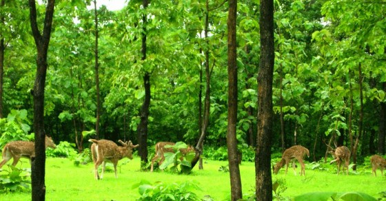 Silvassa Photos, Pictures of Famous Tourist Places and Attractions ...