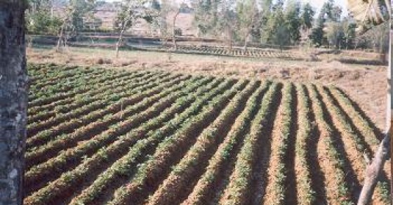 Surguja Photos, Pictures of Famous Tourist Places and Attractions ...