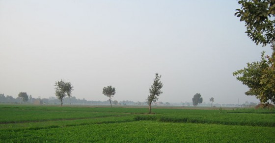 Hisar Photos, Pictures of Famous Tourist Places and Attractions ...
