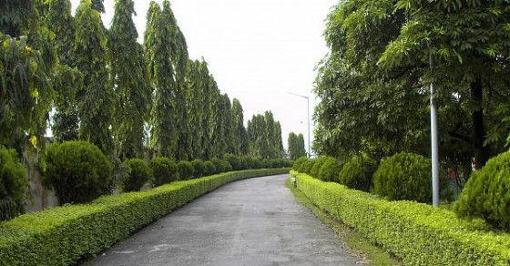 Siliguri Photos, Pictures of Famous Tourist Places and Attractions ...