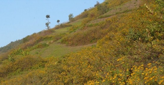 Imphal Valley Photos-NativePlanet