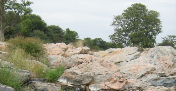 Muthathi Photos, Pictures of Famous Tourist Places and Attractions ...