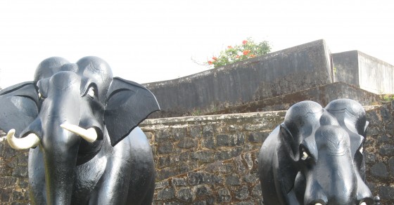 Coorg Photos, Pictures of Famous Tourist Places and Attractions ...