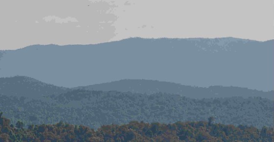 Sharavathi Valley Wildlife Sanctuary Photos-NativePlanet