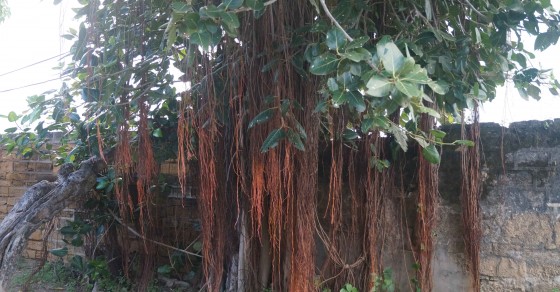 Diu Photos, Pictures of Famous Tourist Places and Attractions-NativePlanet