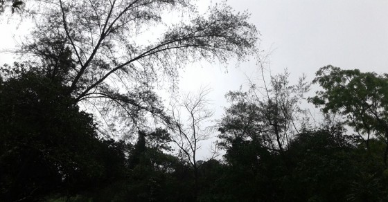 Baramati Photos, Pictures of Famous Tourist Places and Attractions ...