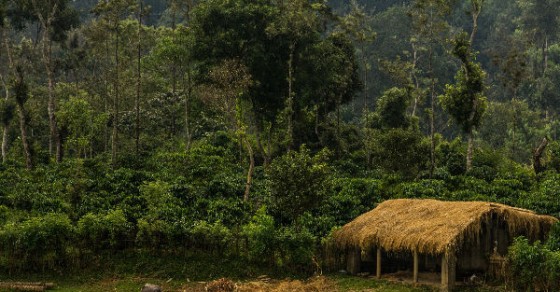 Coorg Photos, Pictures of Famous Tourist Places and Attractions ...