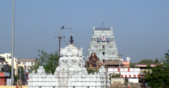 Parthasarathy Temple Photos-NativePlanet
