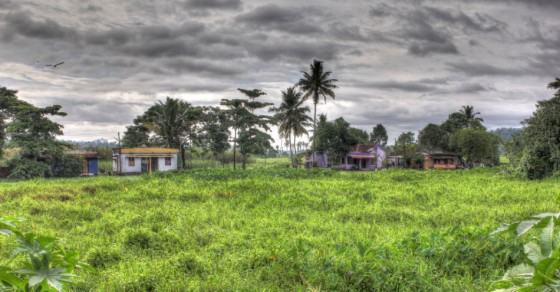 Poonjar Palace Photos-NativePlanet