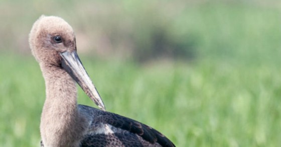 Palwal Photos, Pictures of Famous Tourist Places and Attractions ...