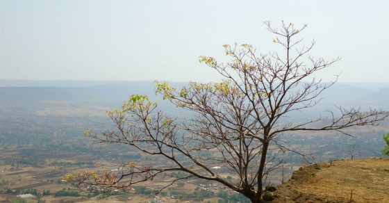Kaas Plateau And Kaas Lake Photos-NativePlanet